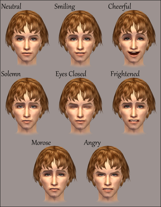 Knightly Posebox with Accessory Swords | Nixed Sims
