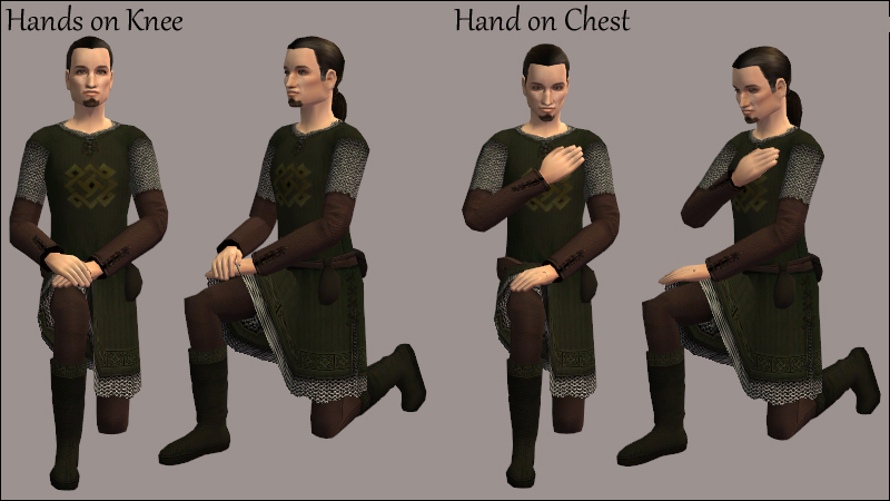 Knightly Posebox with Accessory Swords | Nixed Sims