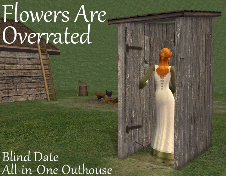 All-in-One Outhouse | Nixed Sims